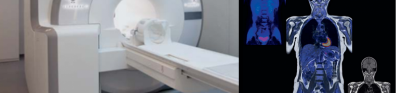 Bioengineering | DEI